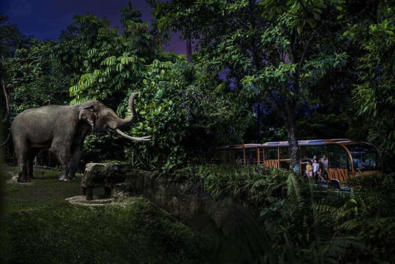 Singapore: Night Safari and Tram Ride Ticket - Authentic Reviews from Visitors
