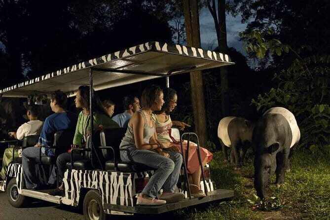 Singapore: Night Safari Entry Ticket - Getting There and Logistics