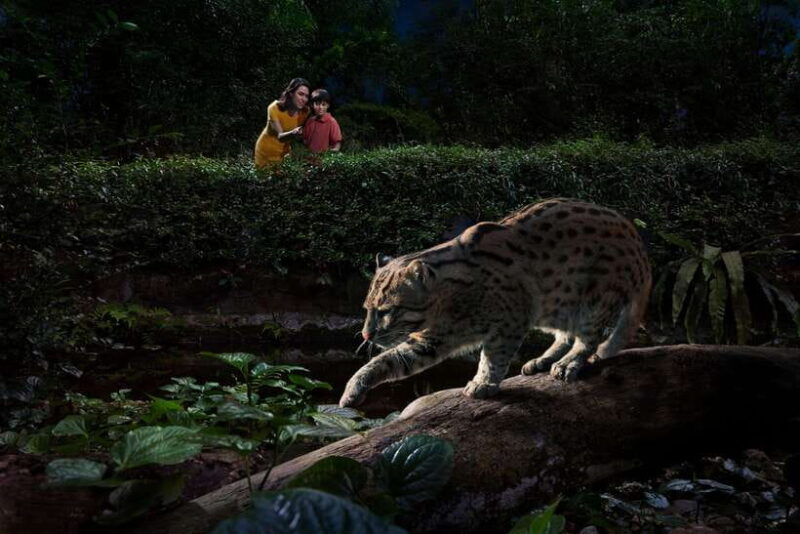 Singapore: Night Safari Singapore w/ Tram - FAQ