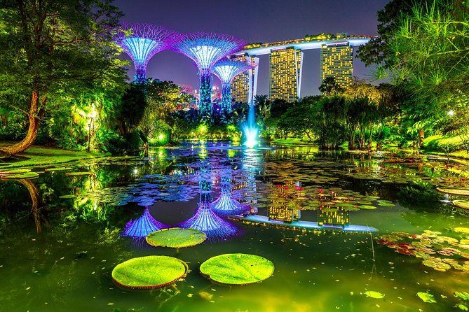 Singapore Night Tour with a Local: Private & 100% Personalized - What’s Included and What’s Not