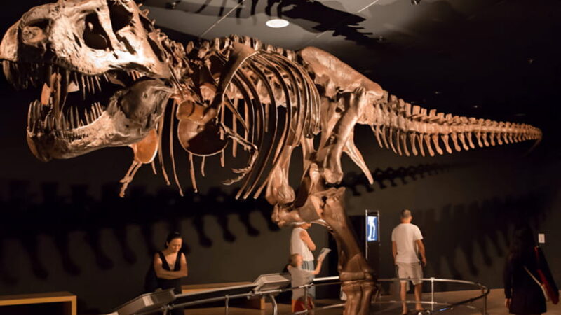 Singapore: Omni Theatre IMAX Show Admission Ticket - Practical Details: What to Expect