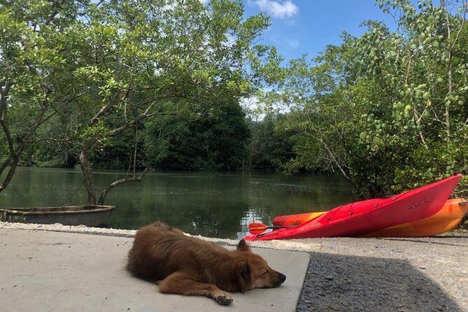 Singapore Paddle to Pedal Adventure in Pulau Ubin - What to Expect from the Pulau Ubin Paddle to Pedal Tour
