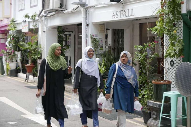 Singapore: Private City Tour in Chinatown and Little India - Final Thoughts