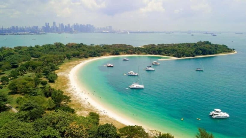 Singapore: Private Customizable Tour with Local Guide - Who Will Love This Tour?