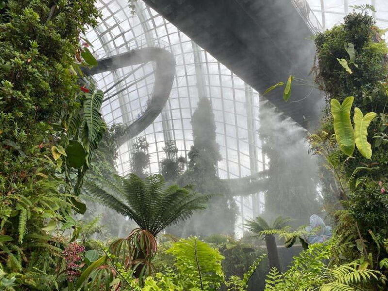 Singapore: Private Customized Tour with transportation - Key Points