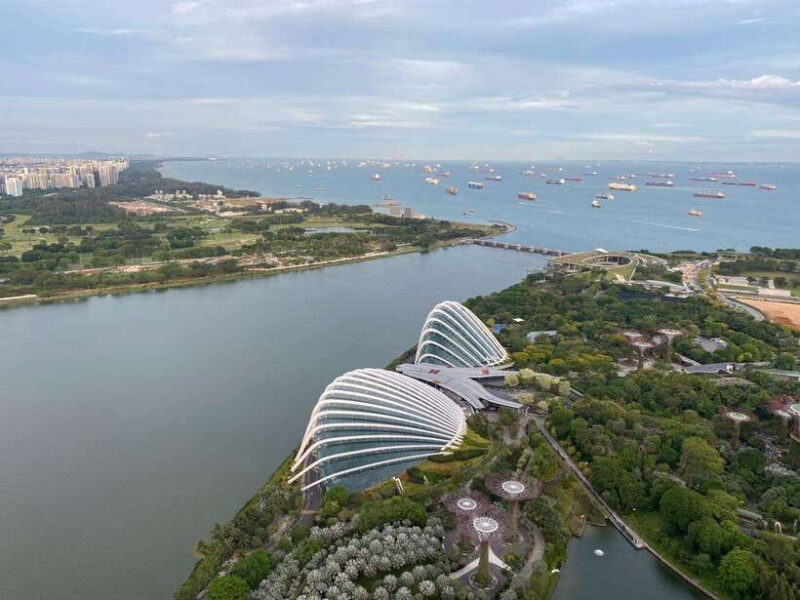 Singapore: Private Customized Tour with transportation - Value and Practicality