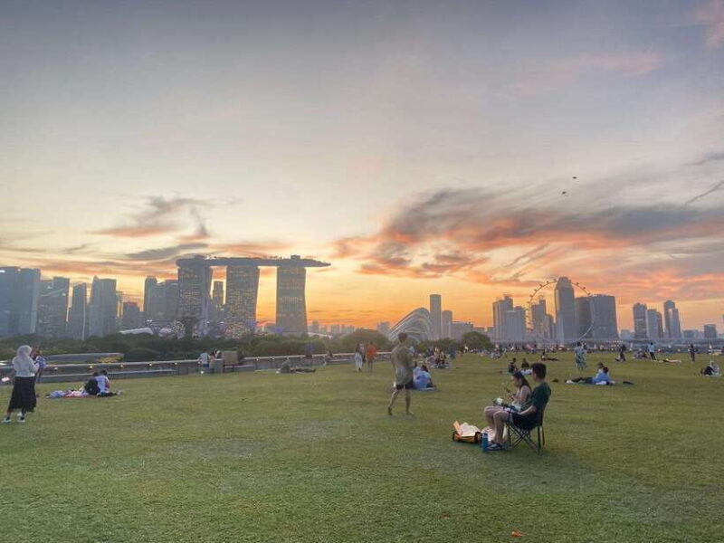 Singapore: Private Customized Tour with transportation - Final Thoughts