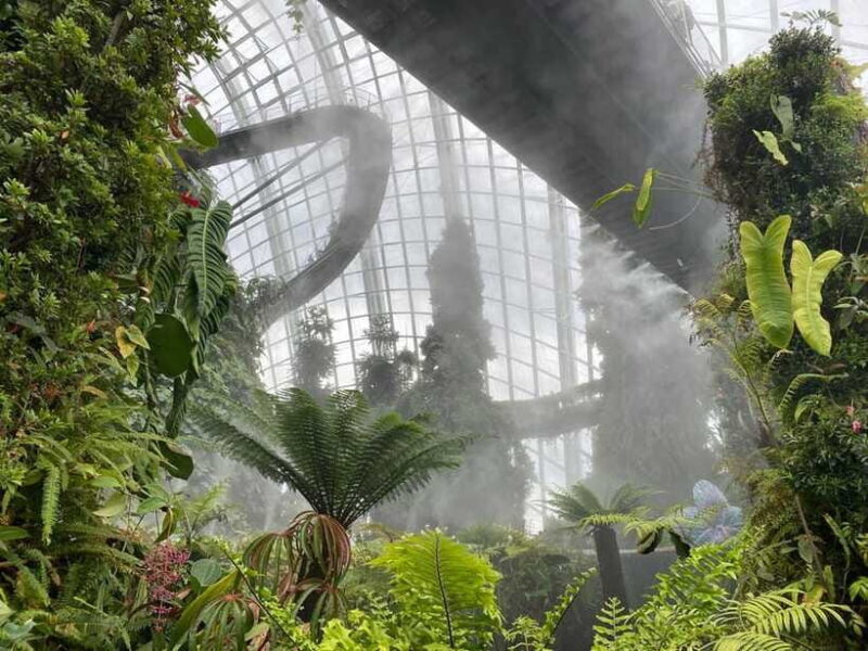 Singapore: Private Customized Tour with transportation - FAQs