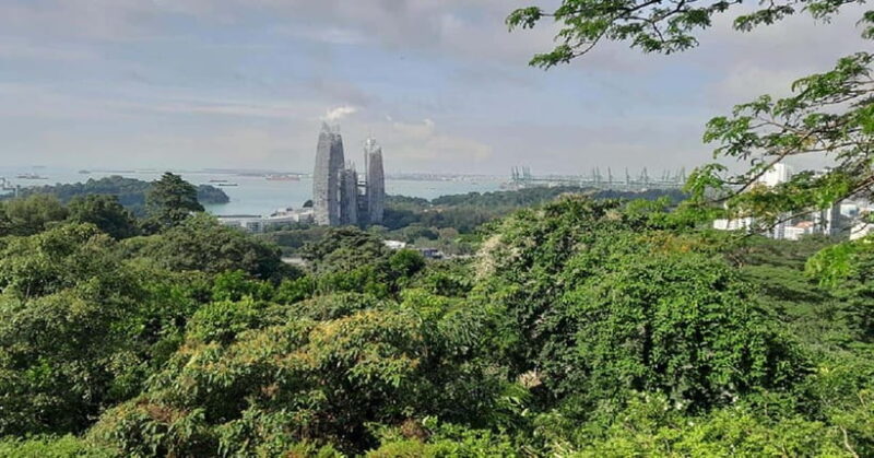 Singapore: Private Full-Day Island Tour - Introduction