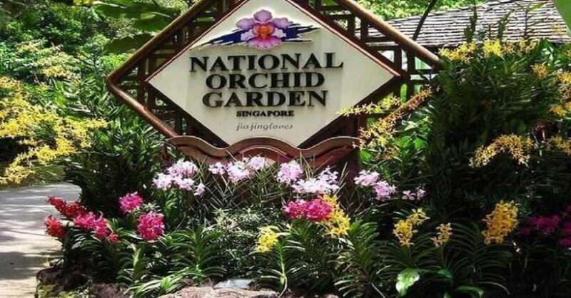 Singapore: Private Full-Day Island Tour - The Sum Up