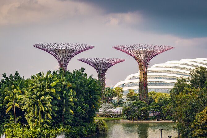 Singapore Private Professional Photoshoot at Gardens by the Bay - Why Choose a Photoshoot at Gardens by the Bay?