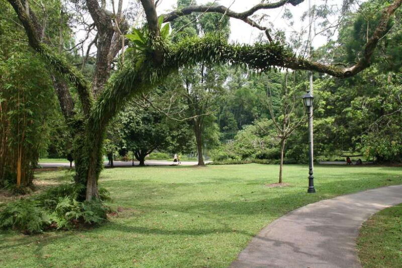 Singapore: Private Tour with a Local Guide - The Sum Up