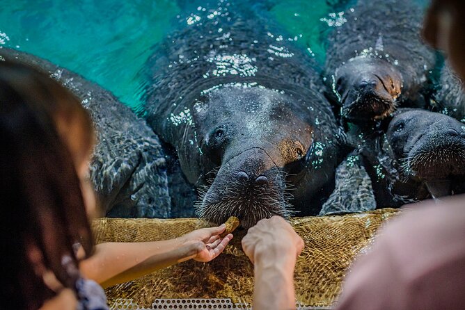 Singapore: River Wonders Entry Ticket - Who Should Consider Visiting?