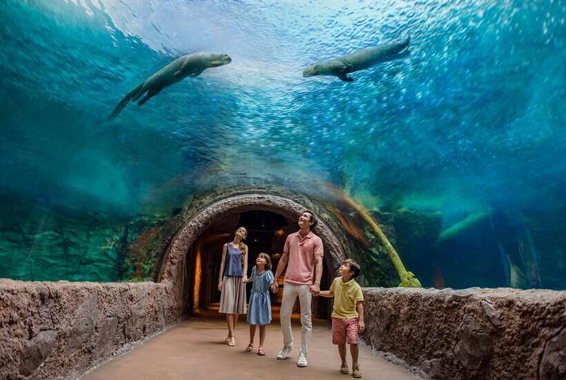 Singapore: River Wonders Entry Ticket - Key Points