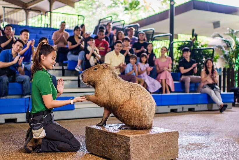 Singapore: River Wonders Entry Ticket - FAQ