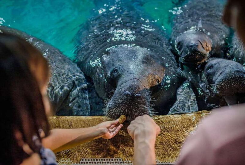 Singapore: River Wonders Entry Ticket - Final Thoughts: Is River Wonders Worth It?