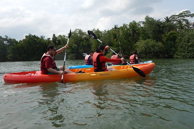Singapore Round Ketam Kayaking Adventure in Pulau Ubin - Practical Details and Logistics