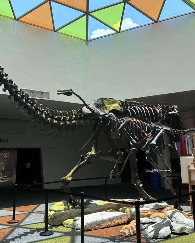 Singapore: Science Center E-Ticket - The Practicalities and Value