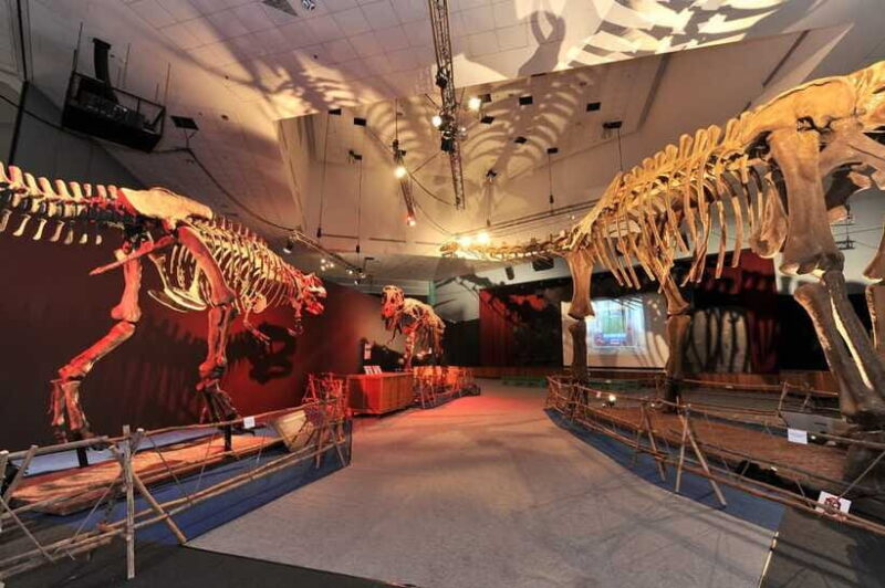 Singapore: Science Center E-Ticket - In-Depth Look at the Experience