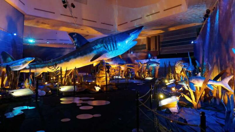 Singapore: Science Center E-Ticket - Final Thoughts: Is It Worth It?