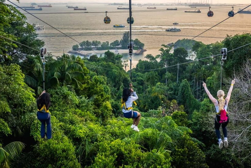 Singapore: Sentosa Megazip Ticket at Mega Adventure Park - Key Points