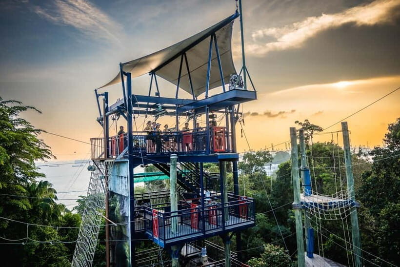 Singapore: Sentosa Megazip Ticket at Mega Adventure Park - An In-Depth Look at Mega Adventure Park