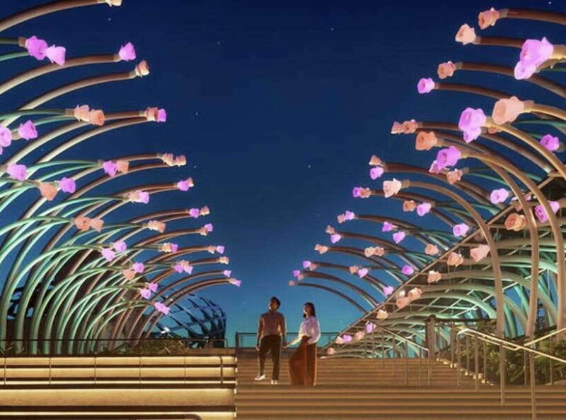 Singapore: Sentosa Night Tour Cable Car and Fireworks - What’s Included and What’s Not