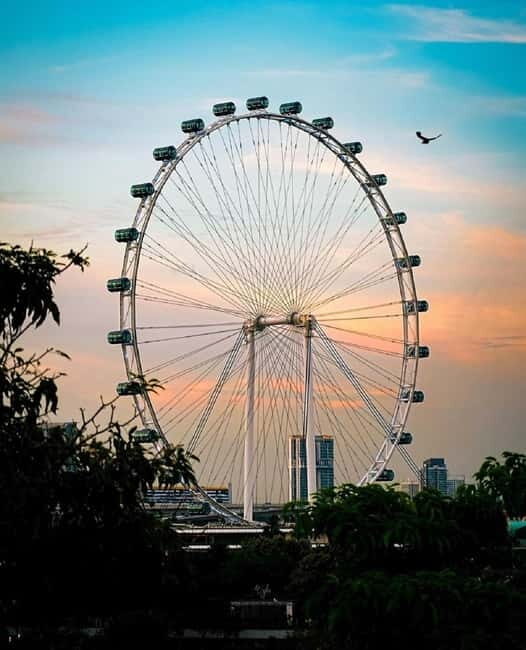 Singapore: Singapore Flyer Entry Ticket with Time Capsule - The Experience During Your Visit
