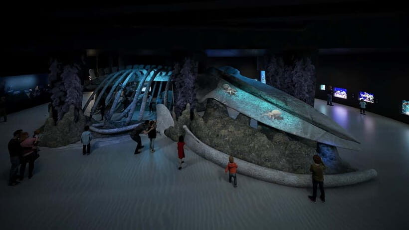 Singapore: Singapore Oceanarium Entrance E-Ticket - An In-Depth Look at the Singapore Oceanarium