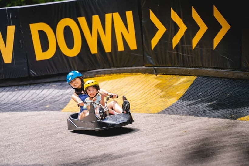 Singapore: Skyline Luge Sentosa Entry Ticket - Who Will Love This Experience?