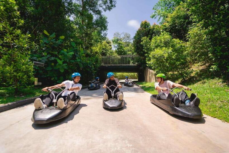 Singapore: Skyline Luge Sentosa Entry Ticket - Final Thoughts: Who Will Love Skyline Luge Sentosa?