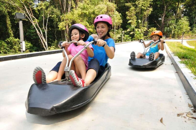 Singapore: Skyline Luge Sentosa Tickets - The Tracks and Trails: Jungle and Dragon
