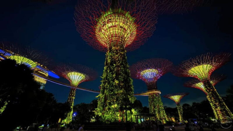 Singapore: Sunset River Cruise and Glittering Light Shows - Key Points