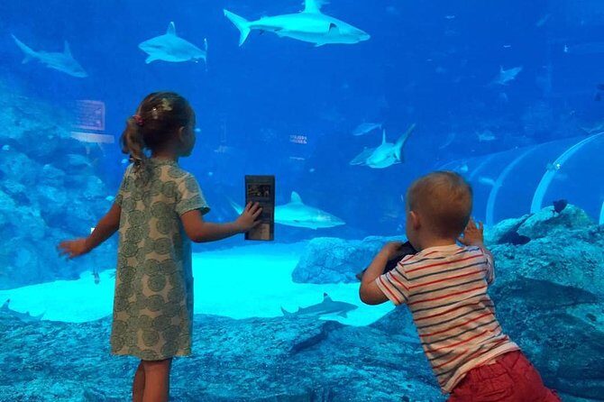 Singapore Universal Studio & S.E.A Aquarium-COMBO One-Day Pass(Shared transfer) - Overview of the Tour