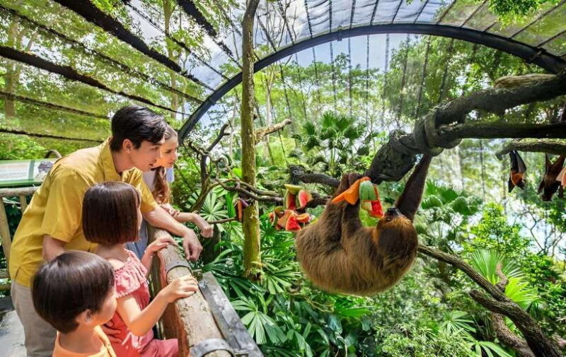 Singapore Zoo: 1-Day Entrance E-Ticket - Key Points
