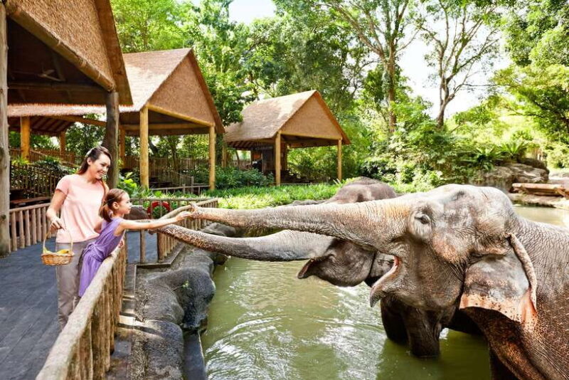 Singapore Zoo: 1-Day Entrance E-Ticket - Authentic Voices from Visitors