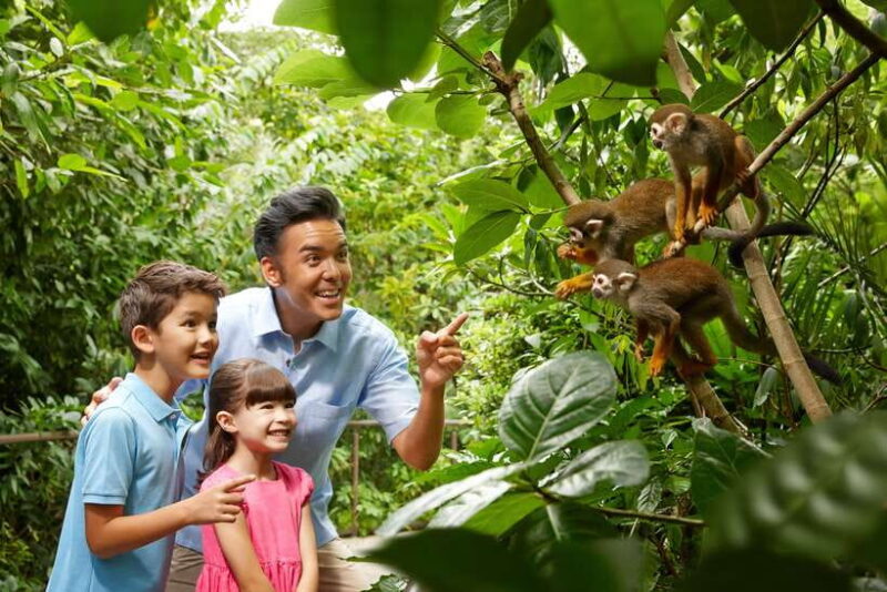 Singapore Zoo: 1-Day Entrance E-Ticket - The Sum Up: Who Will Love This Experience?