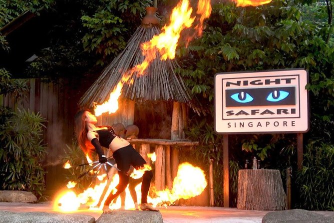 Singapore Zoo & Night Safari Day ( Tickets & Transfer ) - Who Should Consider This Tour?