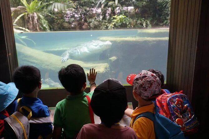 Singapore Zoo with Tram Ride Experience for Tourist - Discovering the Singapore Zoo: An In-Depth Look