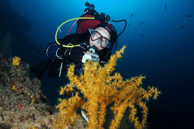 Single Dive for Qualified Divers From Shore, Region Puerto Del Carmen. - Cancellation Policy