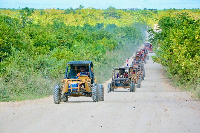 Single Driver Buggy Adventure in Punta Cana  1 Person/Vehicle - Safety and Family-Friendliness