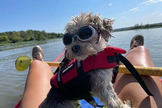 Single Guided Kayaking Tour near Chicago - FAQ