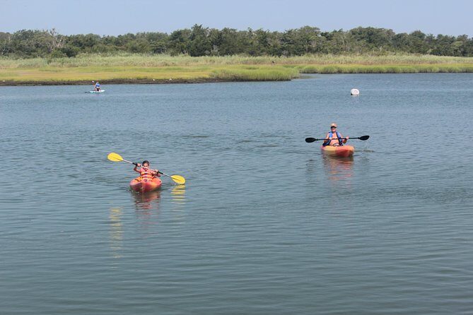 Single Kayak Rental - Introduction: What to Expect from the Cape May Kayak Experience