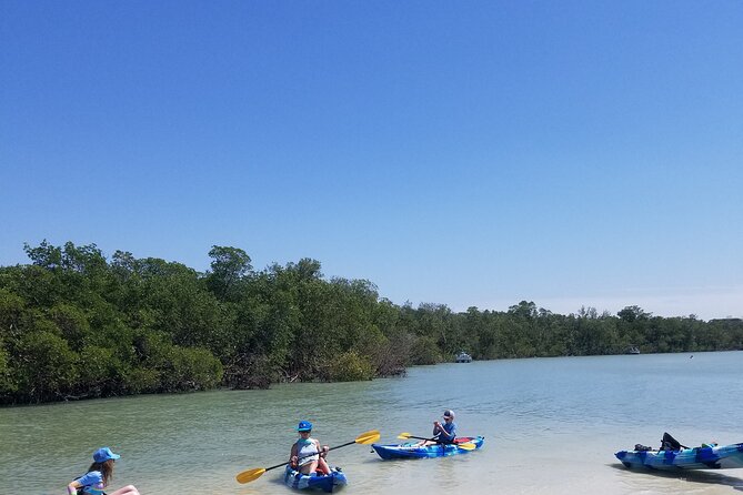 Single Kayak Rental on Big Hickory Pass - Who Will Love This Experience?