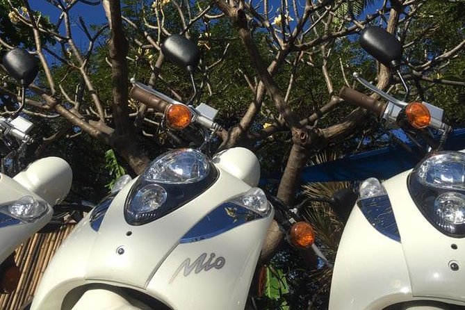 Single Passenger Moped/Scooter - 18+ NO Motorcycle License Needed - Practical Details: What You Need to Know