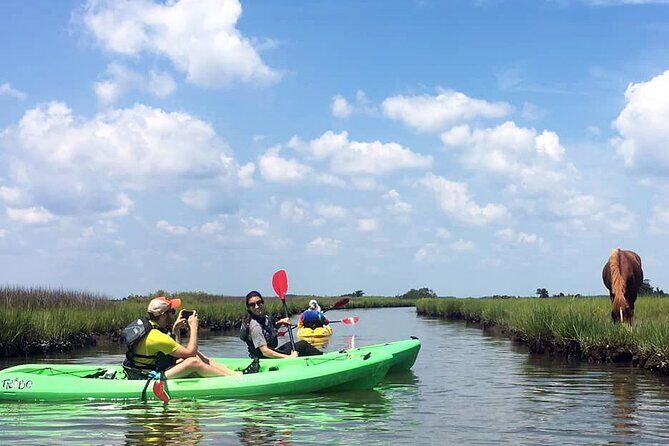 Single Sit on Top Kayak Rental at Assateague Island, MD - Exploring Assateague Island by Kayak: A Practical Look at the Single Sit-On-Top Rental Experience