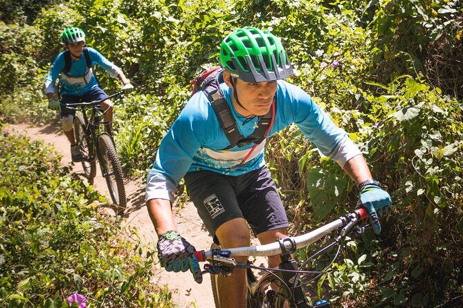 SINGLETRACK MOUNTAIN BIKE - Guided through the jungle - The Experience and Reviews