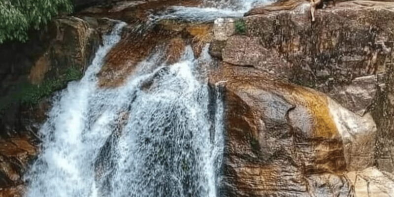 Sinharaja Forest Reserve Glamping with BBQ Night - The Sum Up: Why Choose the Sinharaja Glamping Night?