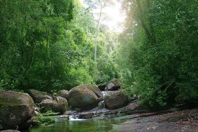 Sinharaja Rain Forest Day Tour From Colombo - FAQs