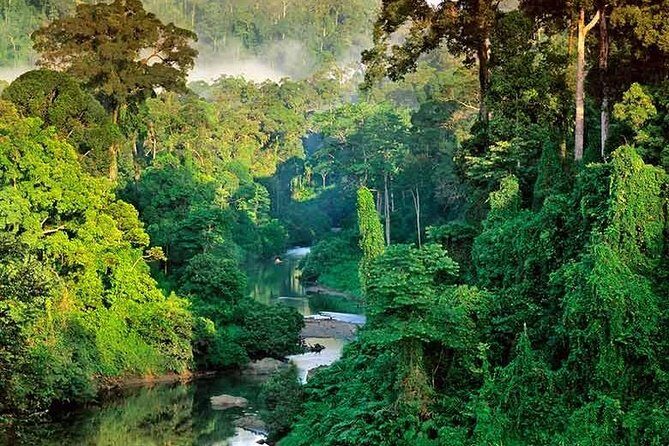 Sinharaja Rain Forest Guided Day Tour From Colombo and Negombo - Key Points